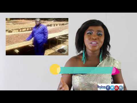 Business Xplore TRENDZ