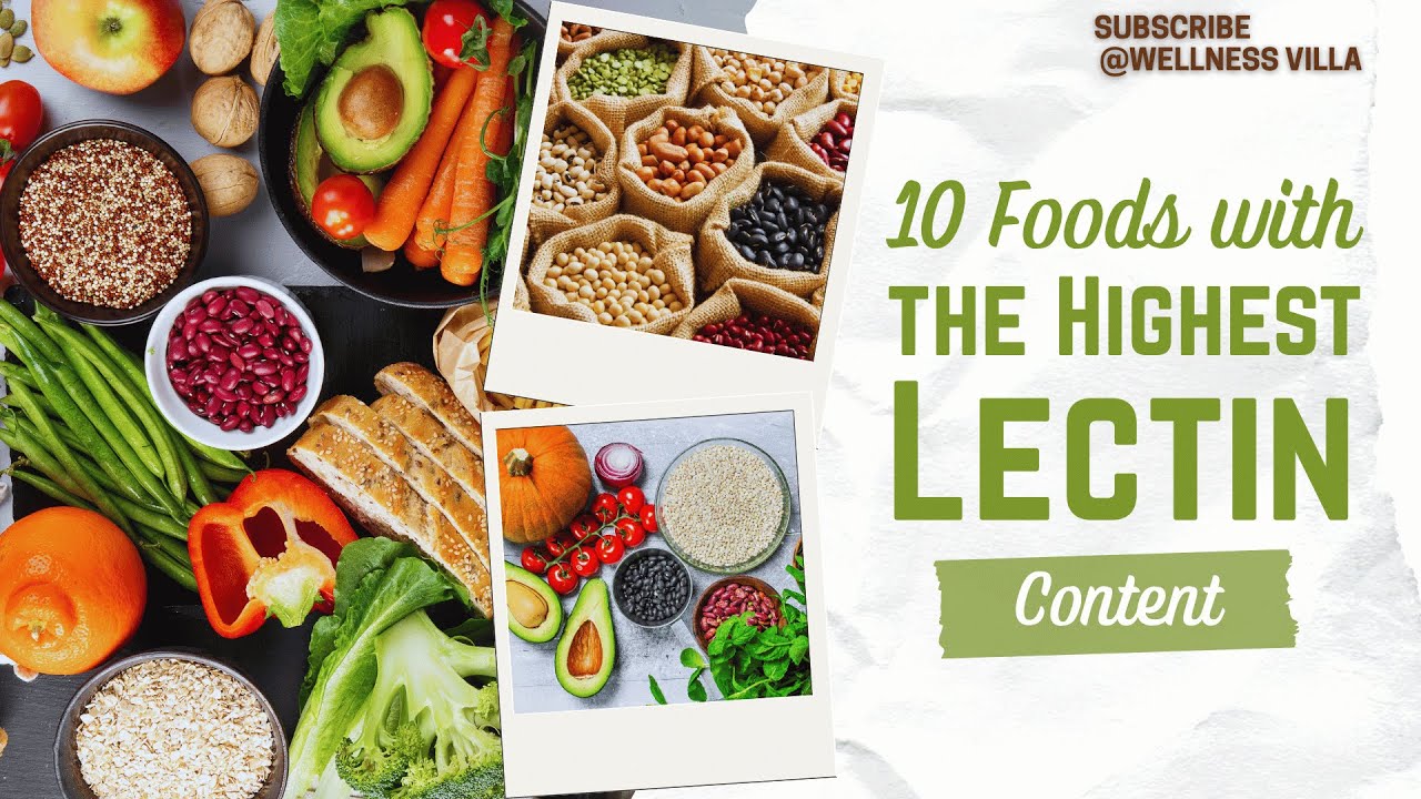 10 Foods with the Highest Lectin Levels - YouTube