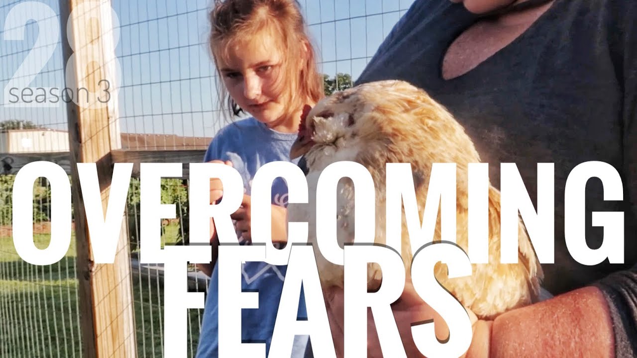 She's Afraid Of Chickens - YouTube