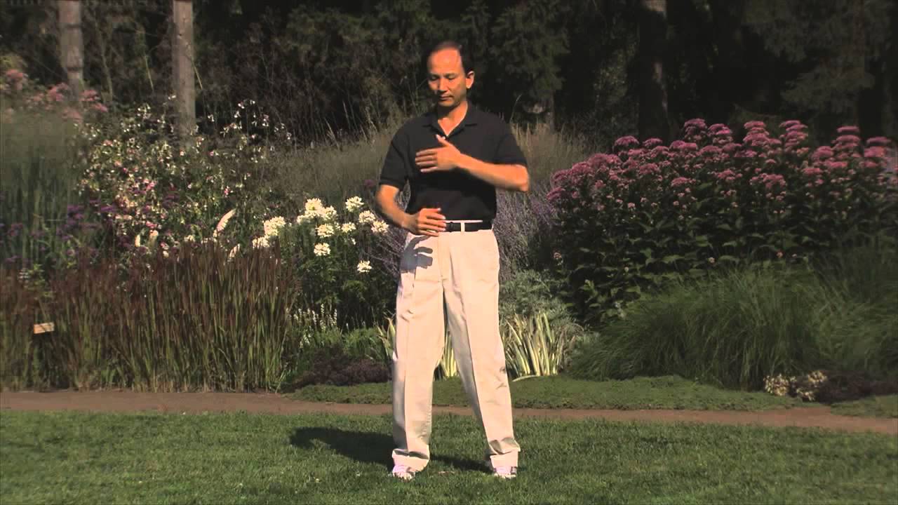 Moving of Yin Yang with Master Chunyi Lin Spring Forest Qigong - YouTube