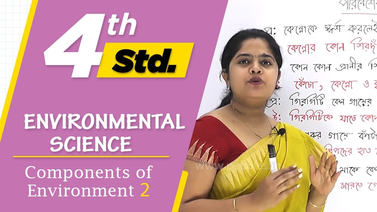 Class 4th Std EVS In Bengali Components Of Environment Part 2 class-4th-std-evs-in-bengali-components-of-environment-part-2