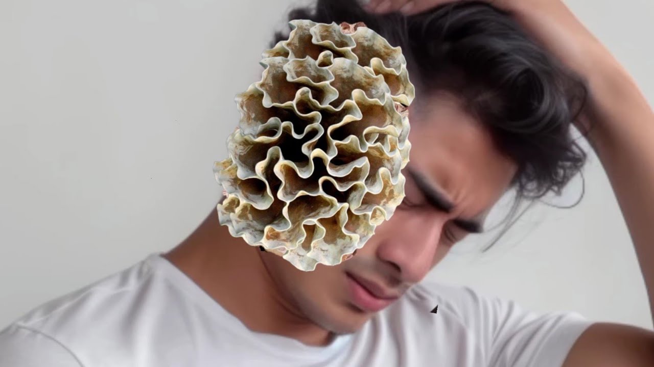 ASMR ANIMATION TREATMENT 🚑 Removing cysts, larvae and worms from an ...