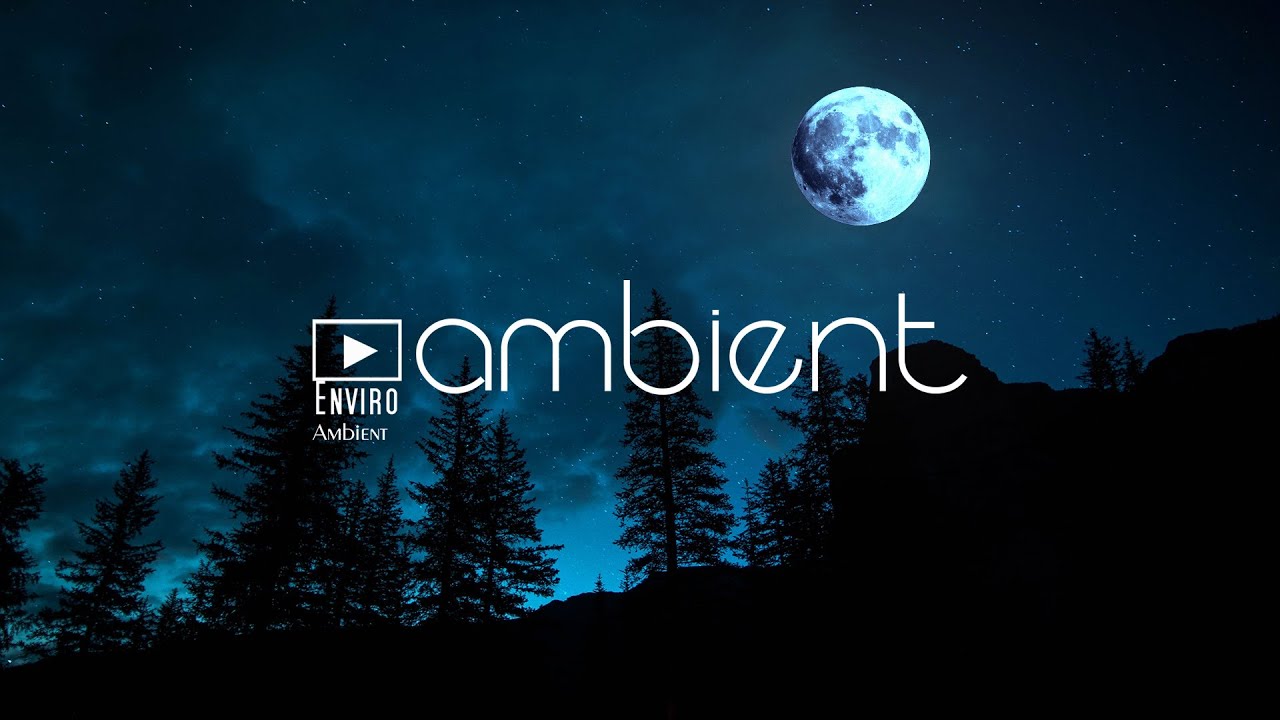 Howling winds at Night | ASMR Wind sound effect with Owl sounds in Dark ...