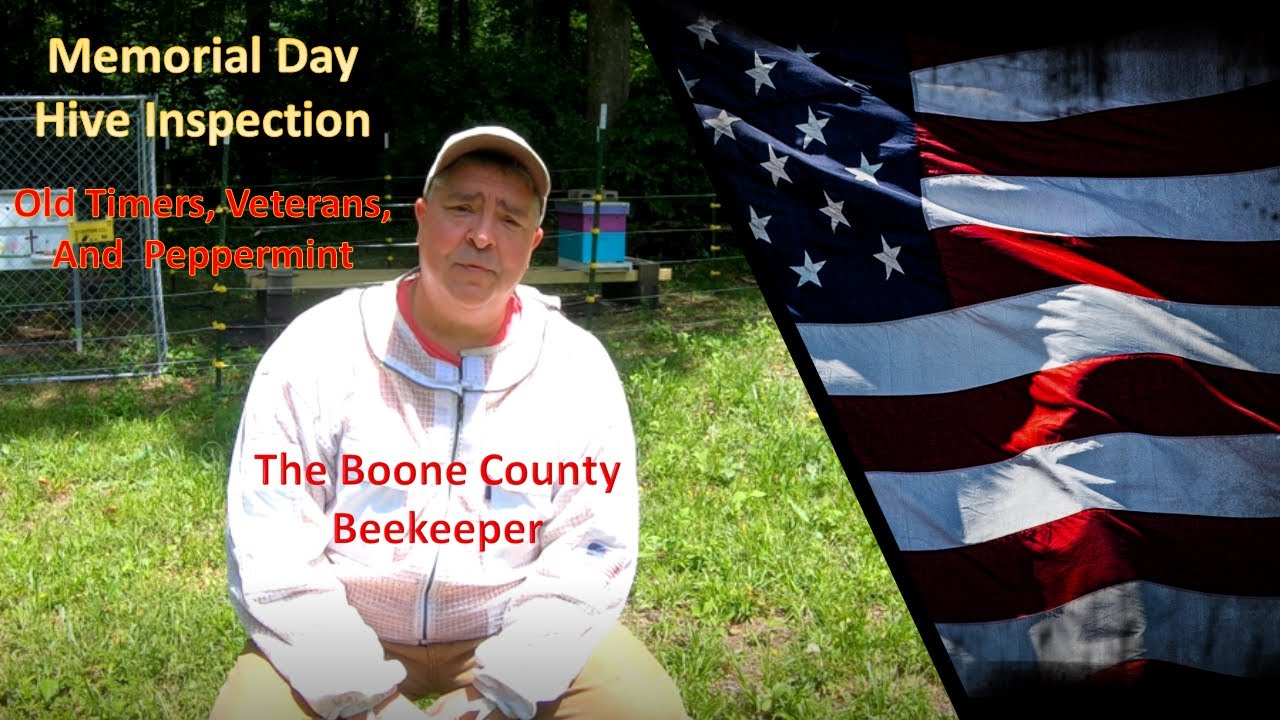 Memorial Day Hive Inspection - Old Timers, Veterans and Peppermint ...