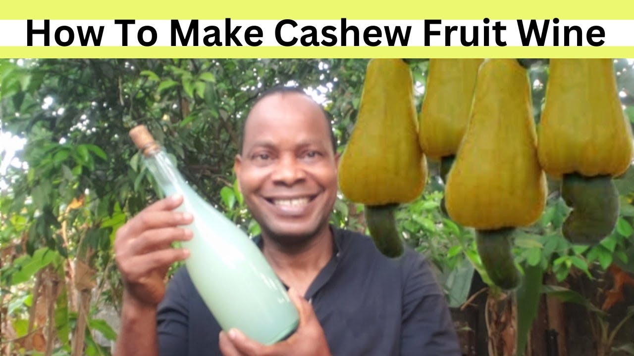 How To Make Cashew Fruit Wine - YouTube