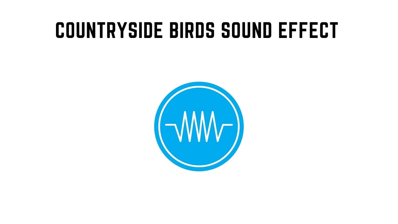 Countryside Birds Sound Effect - YouTube
