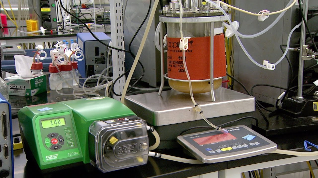Biologics-creating drugs from living cells | Sci NC - YouTube
