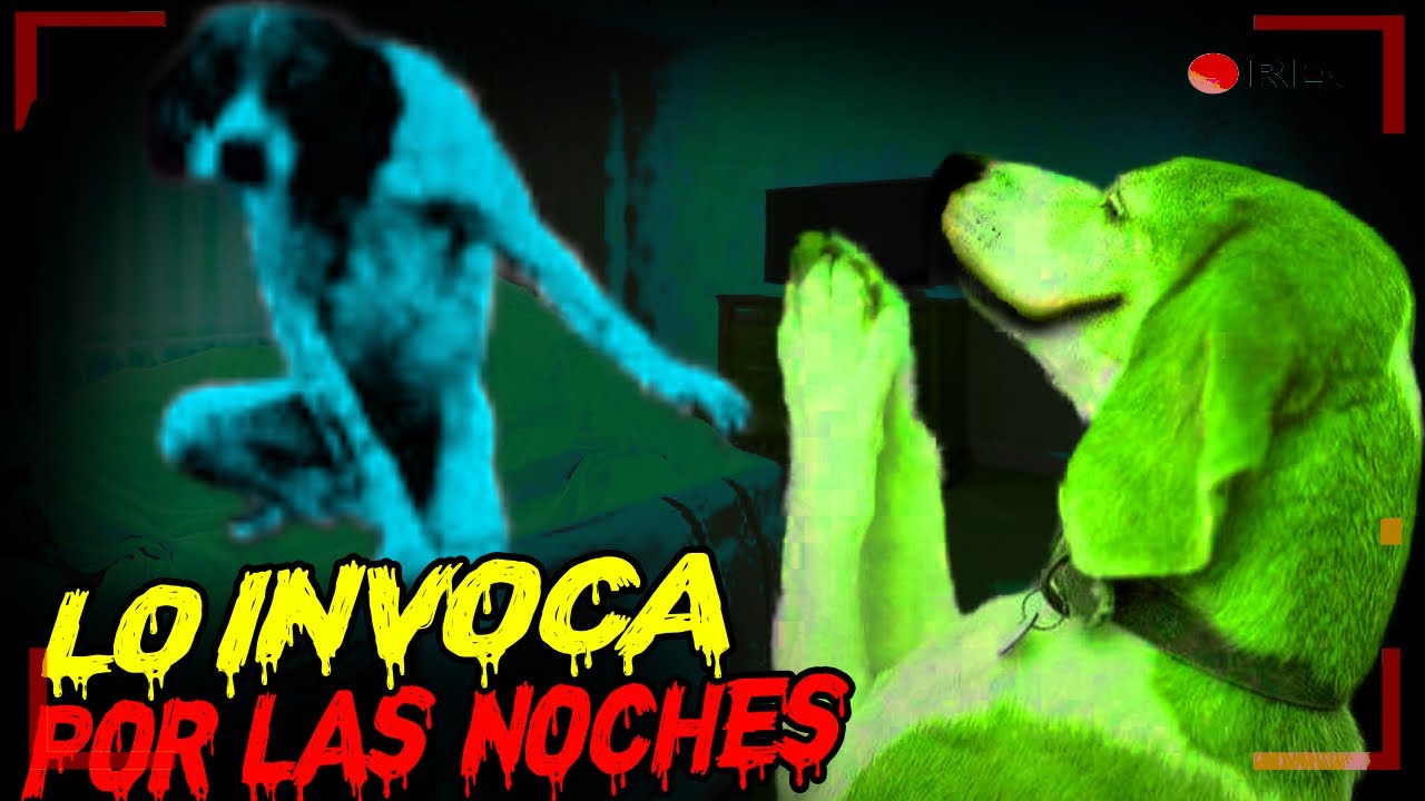 MI PERRA es un SKINWALKER... REZA POR LAS NOCHES ️😱 NUNCA TU DUERMAS ...