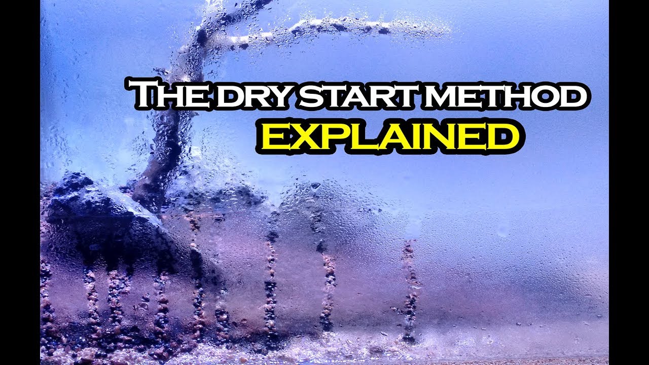 Dry Start Method Explained (Please check the description for English ...
