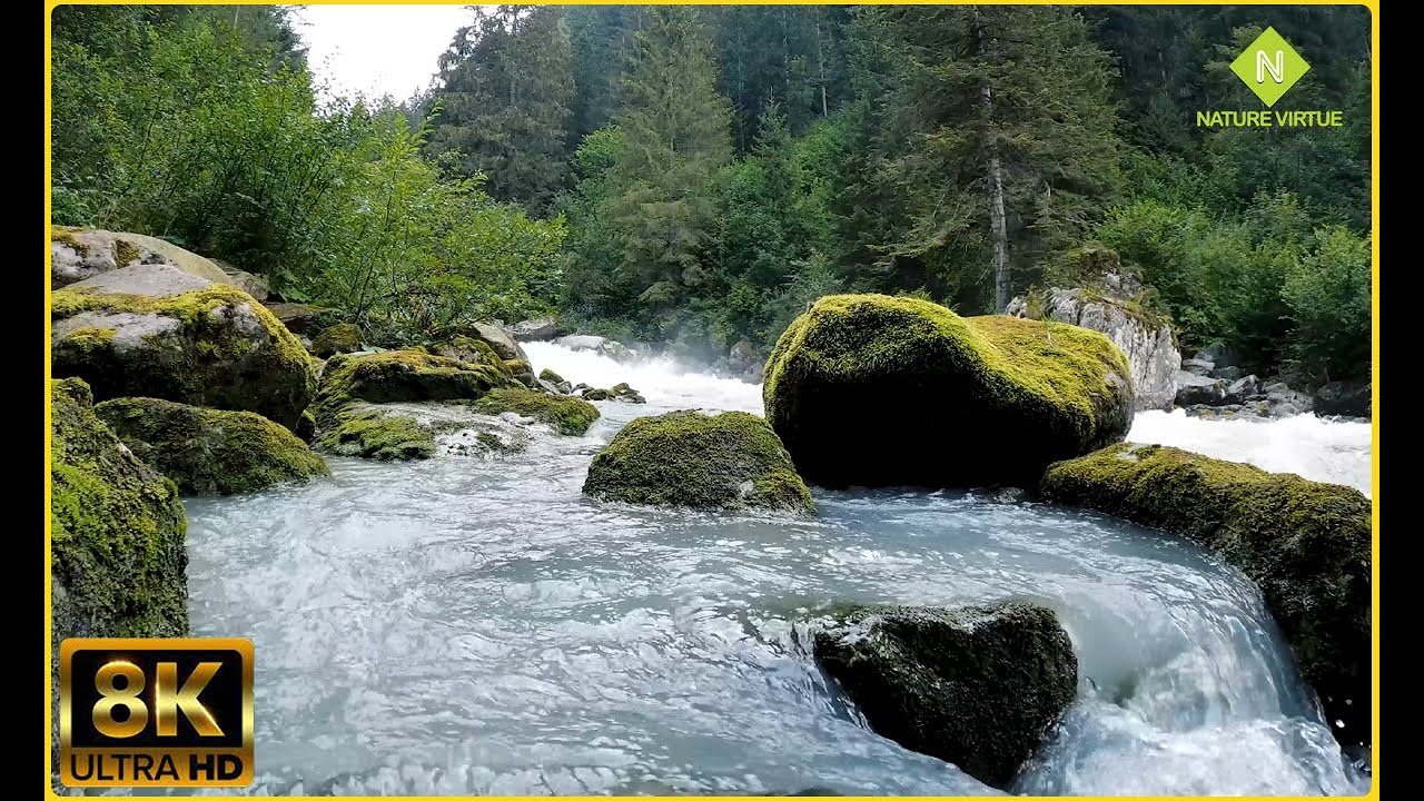 Beautiful Mountain River Flowing Sound | Forest River | Relaxing Nature ...