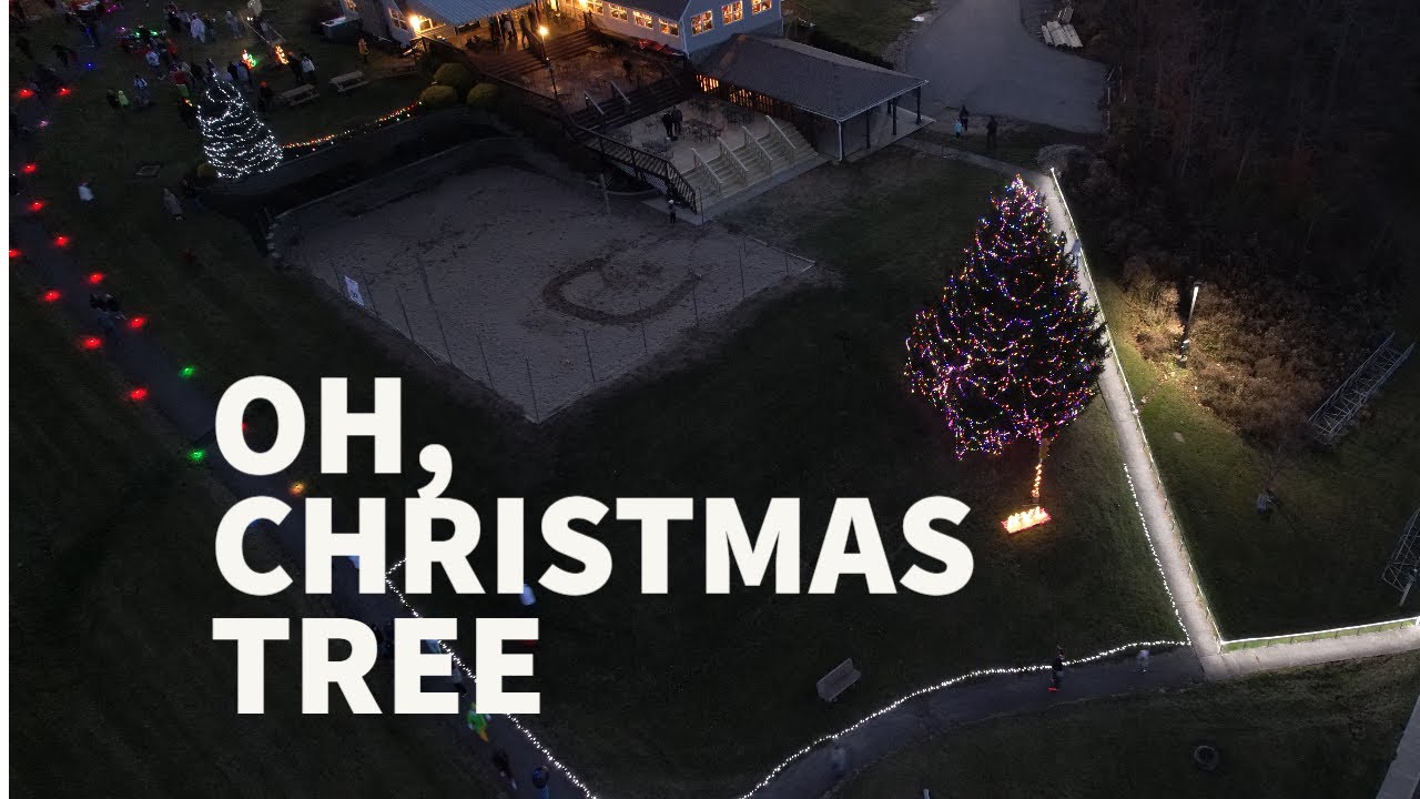 Drone View of Christmas Tree Lighting - Truly Amazing! - YouTube