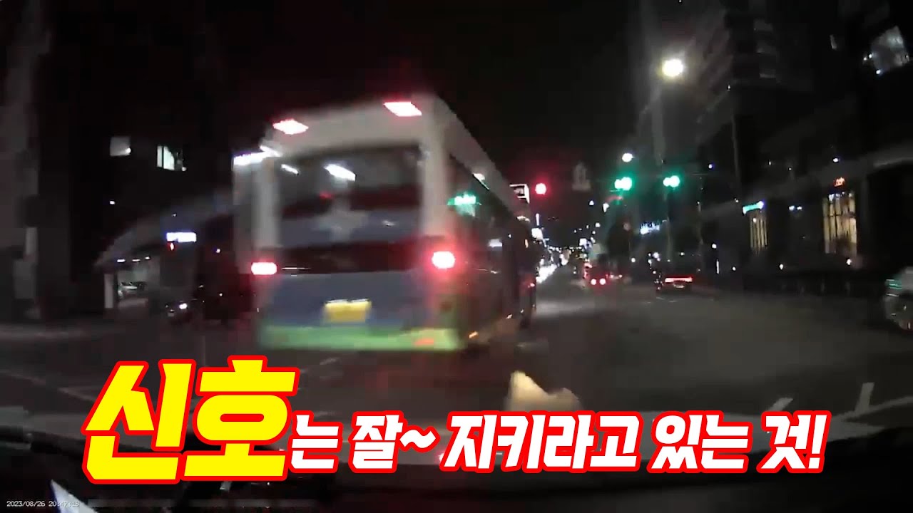 19939회 중앙버스전용 차로에서 신호 위반으로 달려온 버스와 좌회전 하려는 블박차의 사고 Youtube