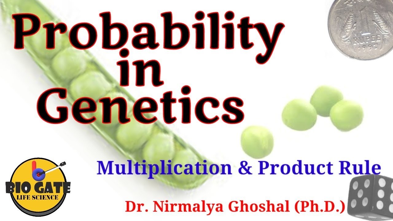 Probability in Genetics: Practice Problems #genetics - YouTube