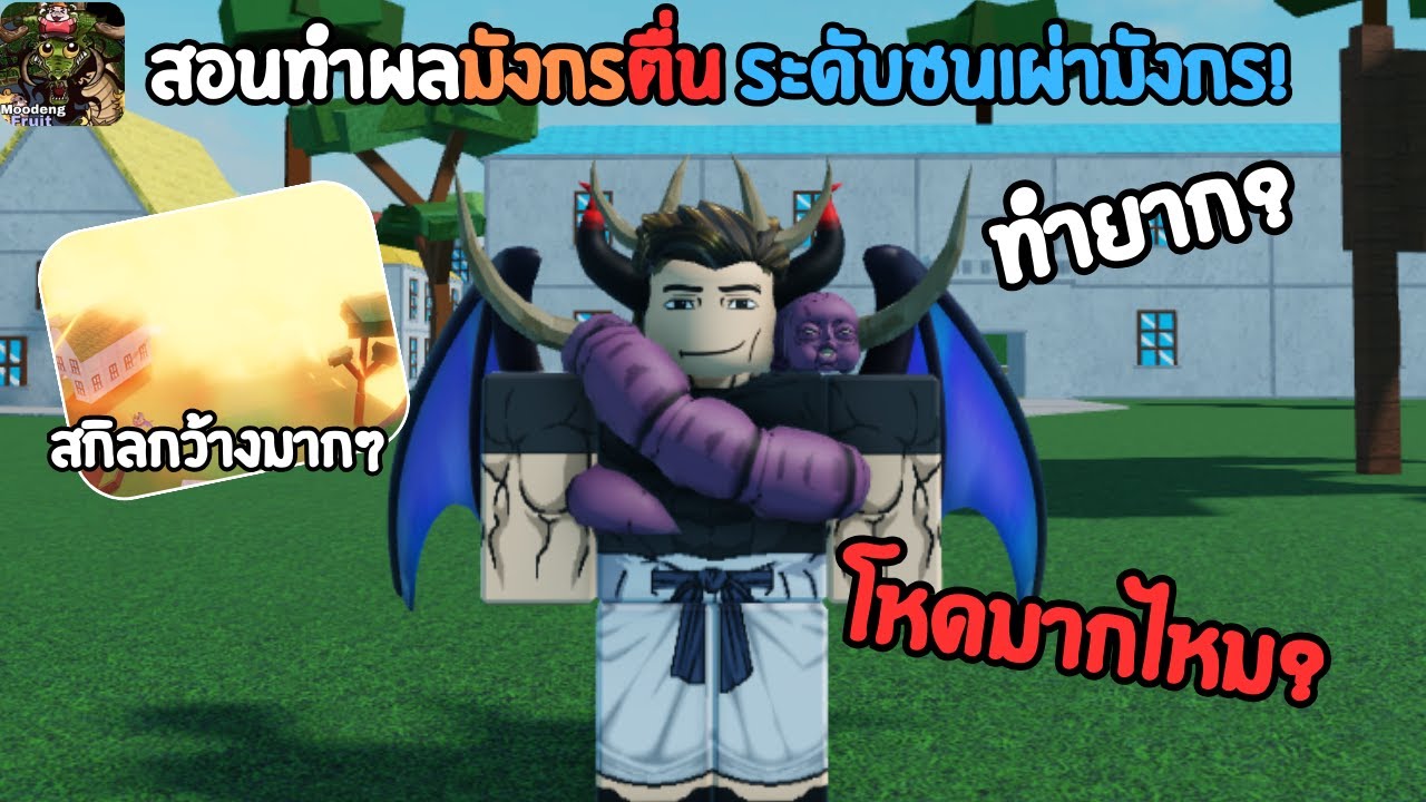 Moodeng Fruit 👑 : สอนทำผลมังกร v2 โหดมาก มั้ง? 🐉 | Roblox - YouTube