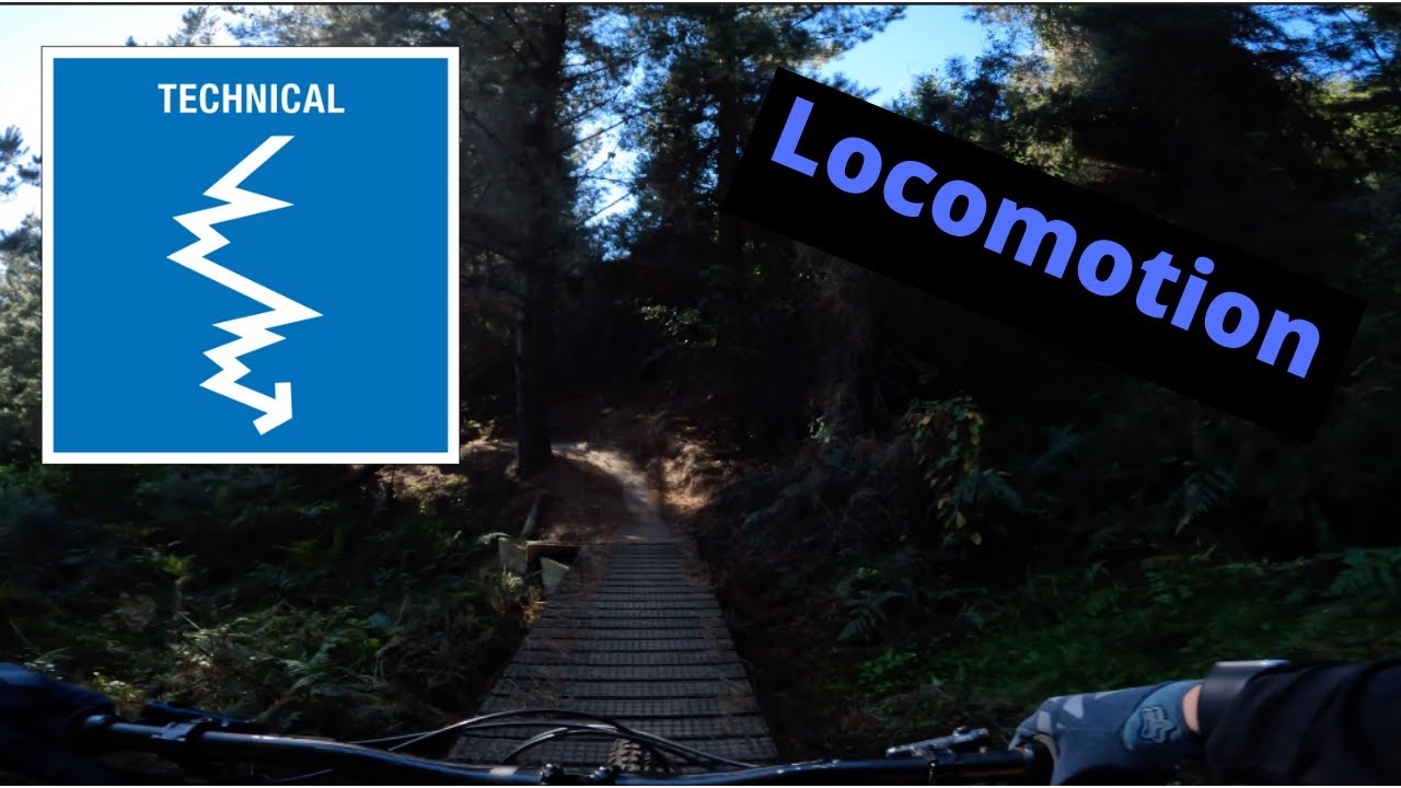 Locomotion//Christchurch Adventure Park - YouTube