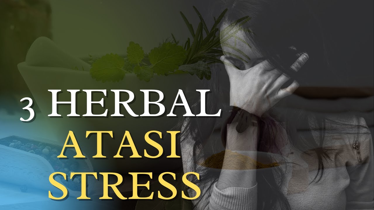 3 HERBAL ATASI STRESS - YouTube