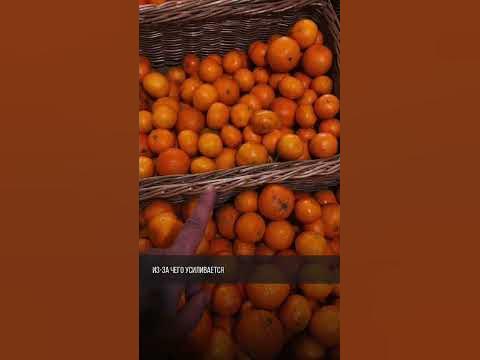 Эти продукты ведут к жиру на животе‼️‼️‼️ #стройность #похудеть #еда # ...
