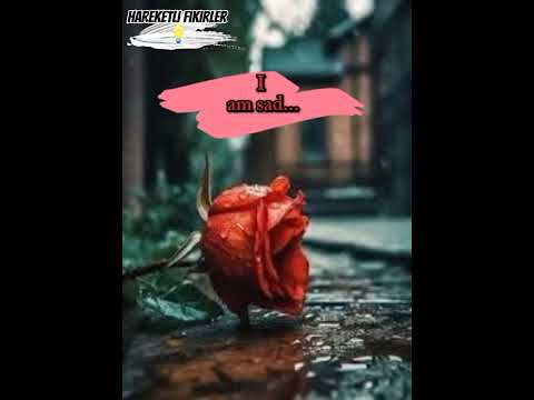 biraz koltuğuna yat ve güzel şarkıyı dinle🎶
