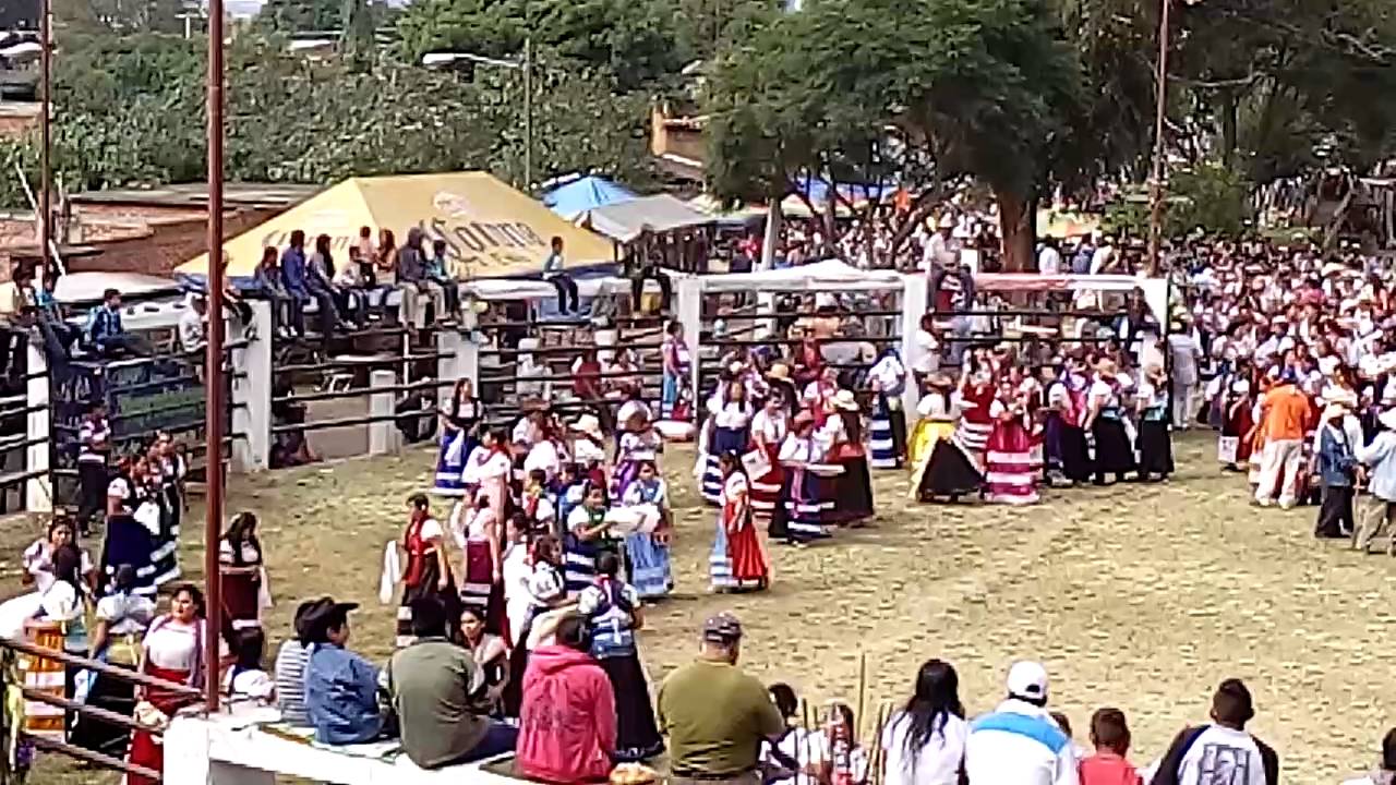 Tarejero Michoacán - YouTube