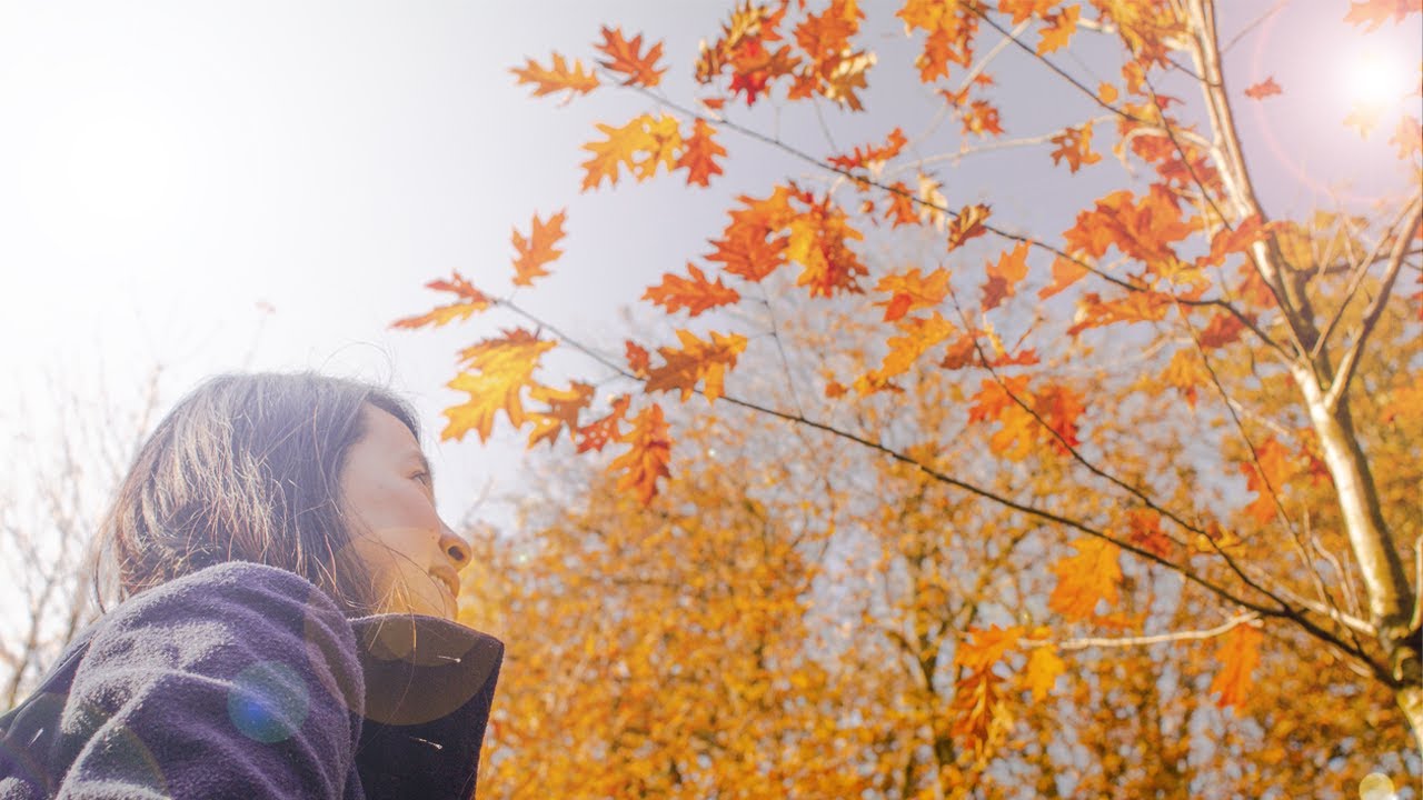 The Best Way to Enjoy Autumn 🍂 - YouTube