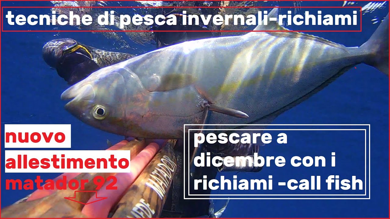 COME PESCARE D' INVERNO- RICHIAMI Pesca Sub :A TUTTI I PESCI PIACCIONO ...