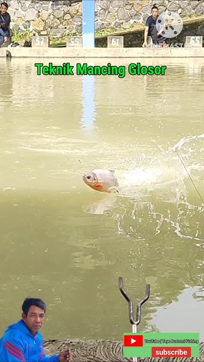 Teknik Mancing Glosor #shorts - YouTube