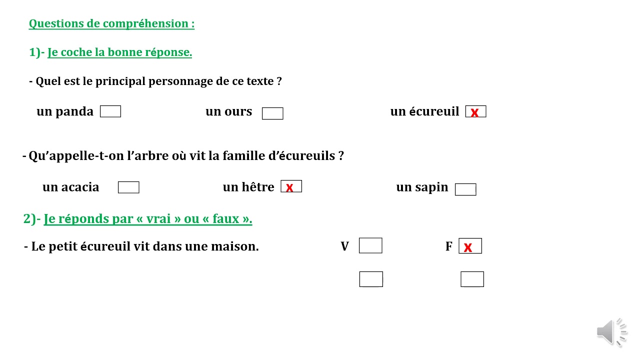 Correction de lecture compréhension CE2 - YouTube