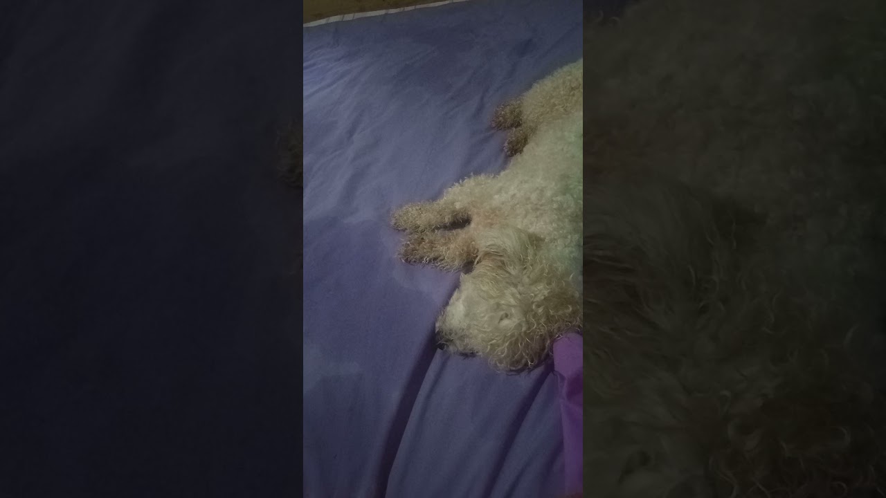 8th Gene Key - Gene Key 8 - YouTube