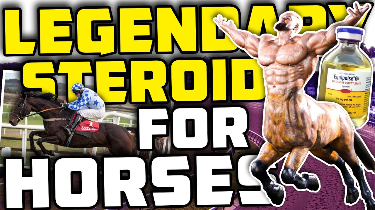 LEGENDARY Steroid For Horses - What It Feels Like To chords