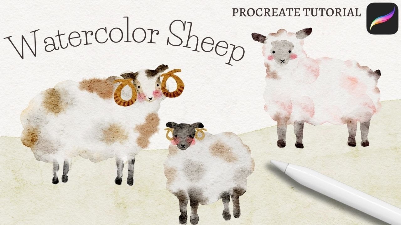 How to Draw and Paint Watercolor Sheep in Procreate | Simple Procreate ...