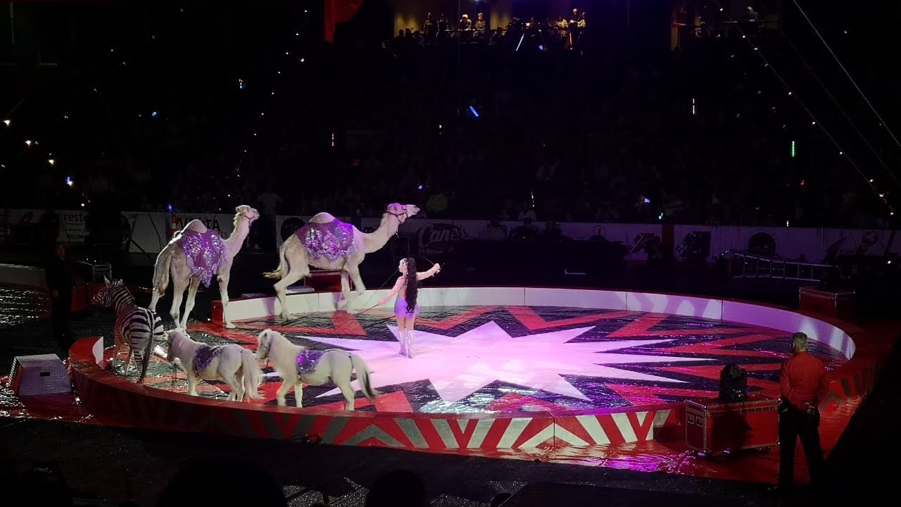 Moolah Shrine Circus St. Louis 2023: Perfect family fun for All Ages ...