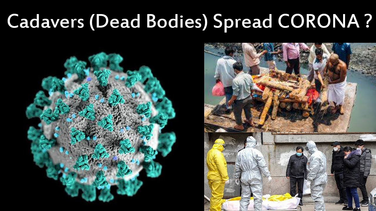 Cadavers (Dead Bodies) Spread CORONA ? | COVID 19 | JAI FOCUS - YouTube