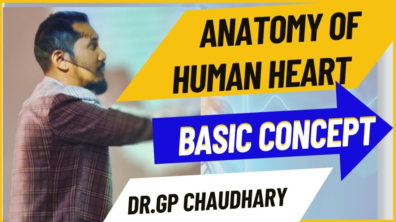 Anatomy & Physiology Crash course I pathophysiology - YouTube