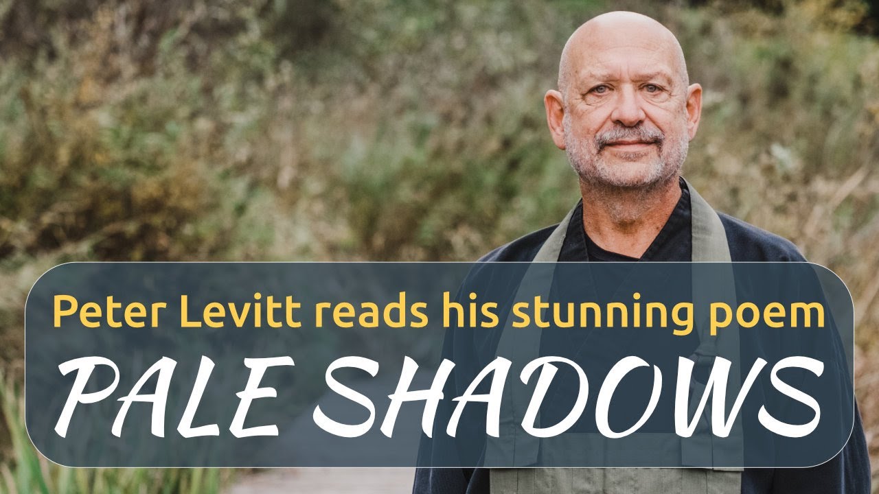 Zen Teacher Peter Levitt reads his stunning poem Pale Shadows - YouTube
