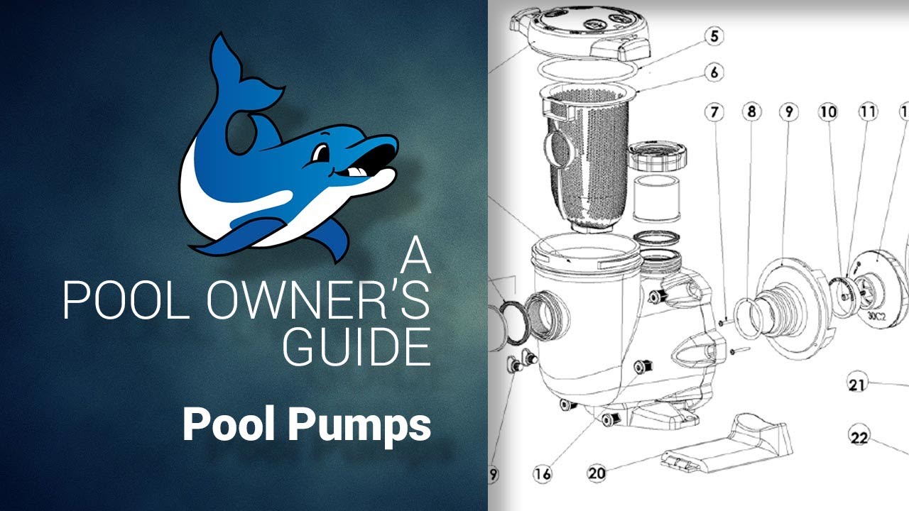 A Pool Owner's Guide to Pumps - YouTube