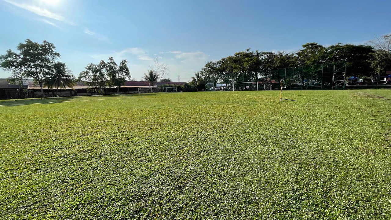 Cowgrass - Ganti Rumput Padang Bolasepak di Paya Jaras, Sungai Buloh ...