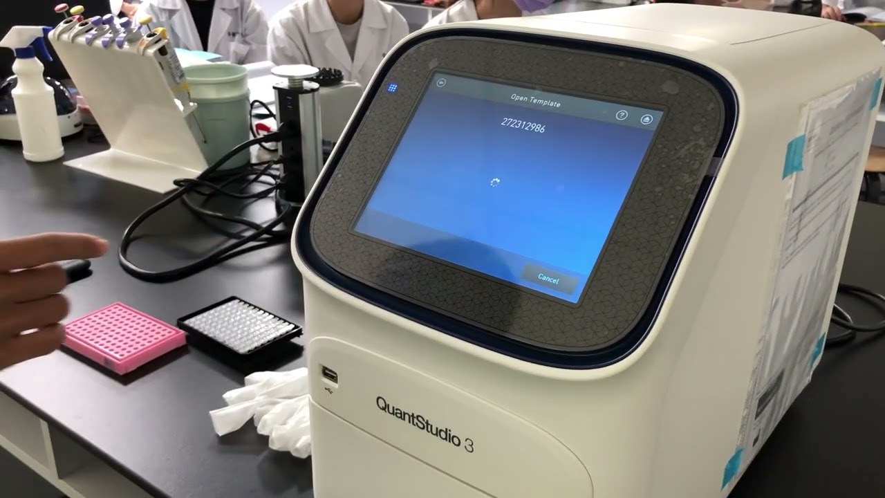 Quantstudio 3 檢體上機 - YouTube