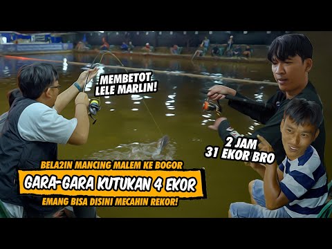 MANCING NGEBUT STRIKE MBRUSUT!! LELE MARLIN DIKASIH UMPAN ALA KADAR TETEP MACOKIN DAN BAR-BAR!!