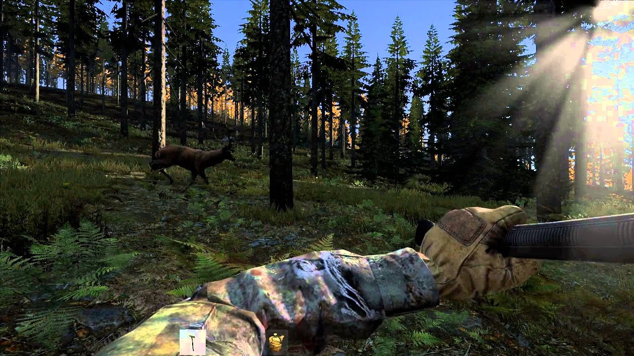 DayZ-Standalone Animal Bug 0.54 - YouTube