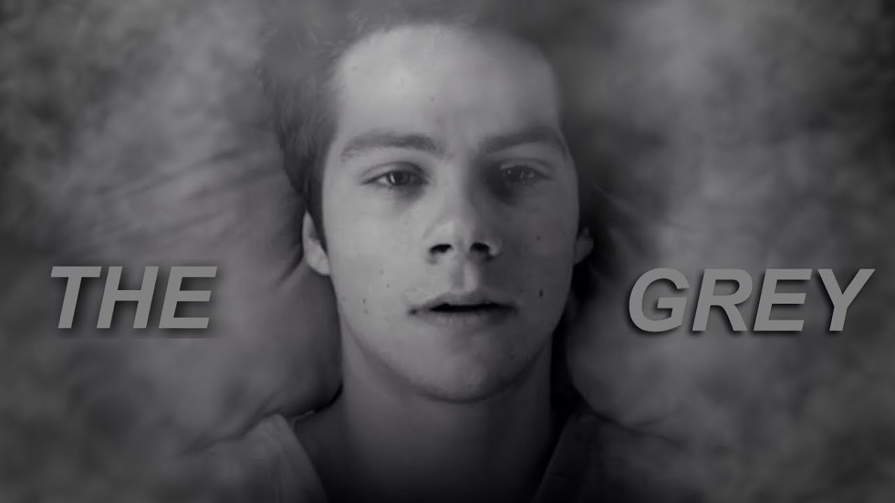 stiles stilinski | the grey - YouTube
