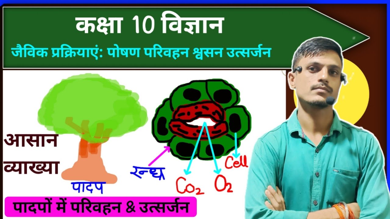 L-9 | जैविक प्रक्रियाएं: पोषण परिवहन श्वसन उत्सर्जन [अध्याय 7] || CLASS ...