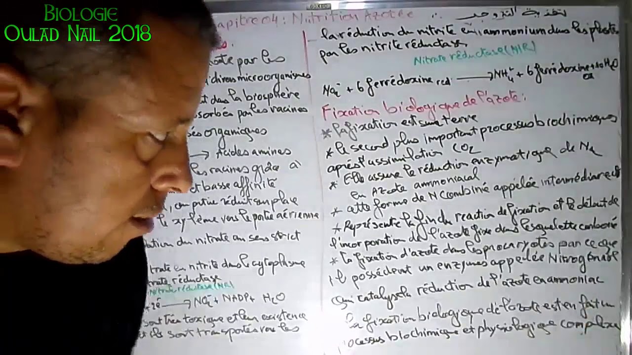 CH04 Physiologie Végétale La Nutrition Azote part 02 - تغذية النتروجين ...