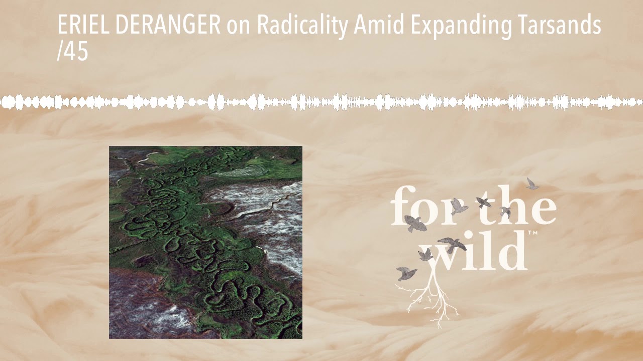 ERIEL TCHEKWIE DERANGER on Radicality Amid Expanding Tar Sands /45 ...