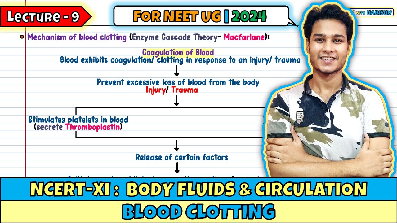 Lec 9- Blood Clotting | Body Fluids & Circulation | NEET | Biology ...
