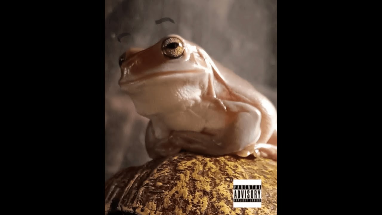 Da'frawg - You're Still Here - YouTube