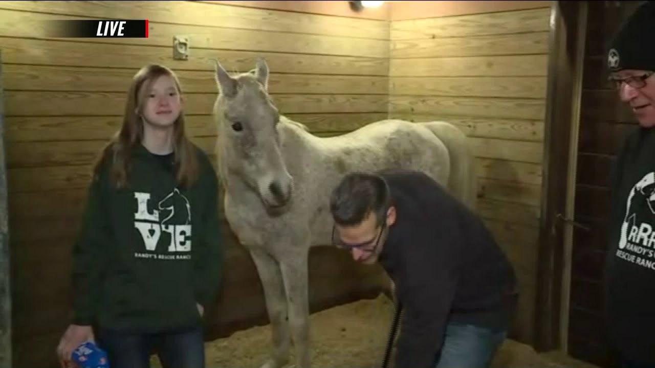 Tim`s Travels - Delaney`s donations benefiting Randy`s Rescue Ranch ...