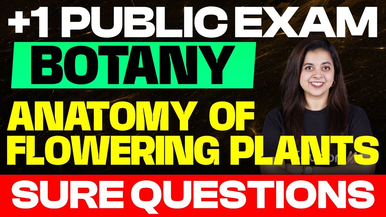 Plus One Botany | Most Important Questions | Anatomy of Flowering ...