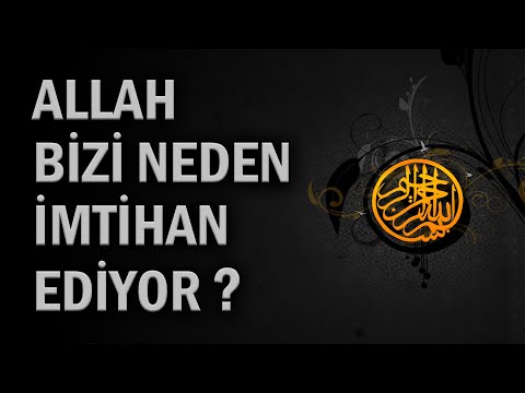 Allah bizim dünyada nasıl hareket edeceğimizi bildiği halde neden imtihan ediyor? | 1 Soru - 1 Cevap