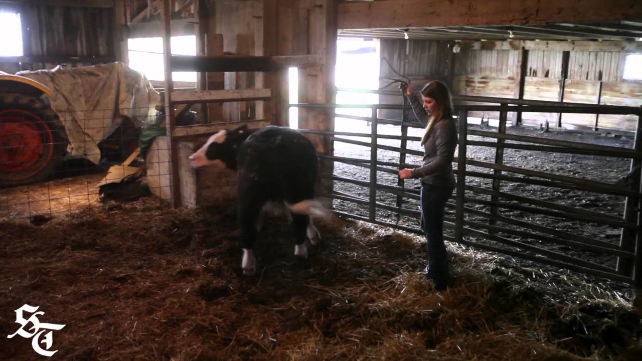 Farm to Fair: Part two - YouTube