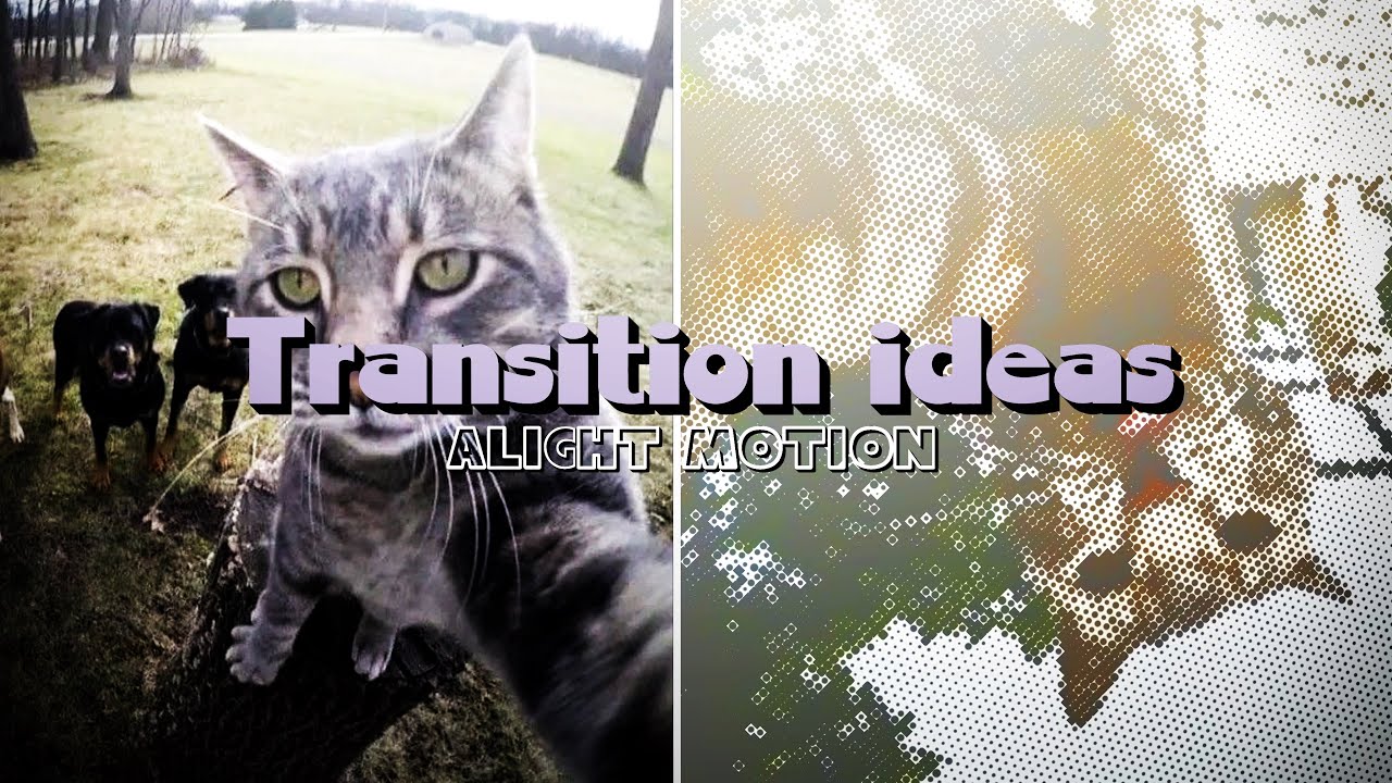 Transition ideas | Alight motion | editor ideas - YouTube